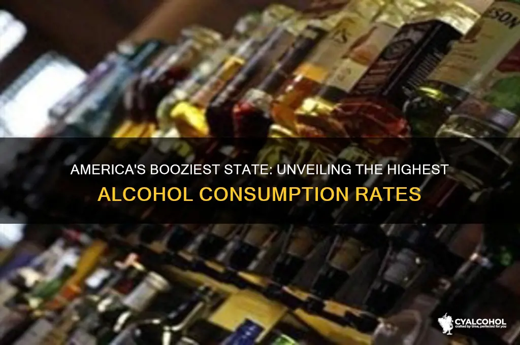 America's Booziest State: Unveiling The Highest Alcohol Consumption ...