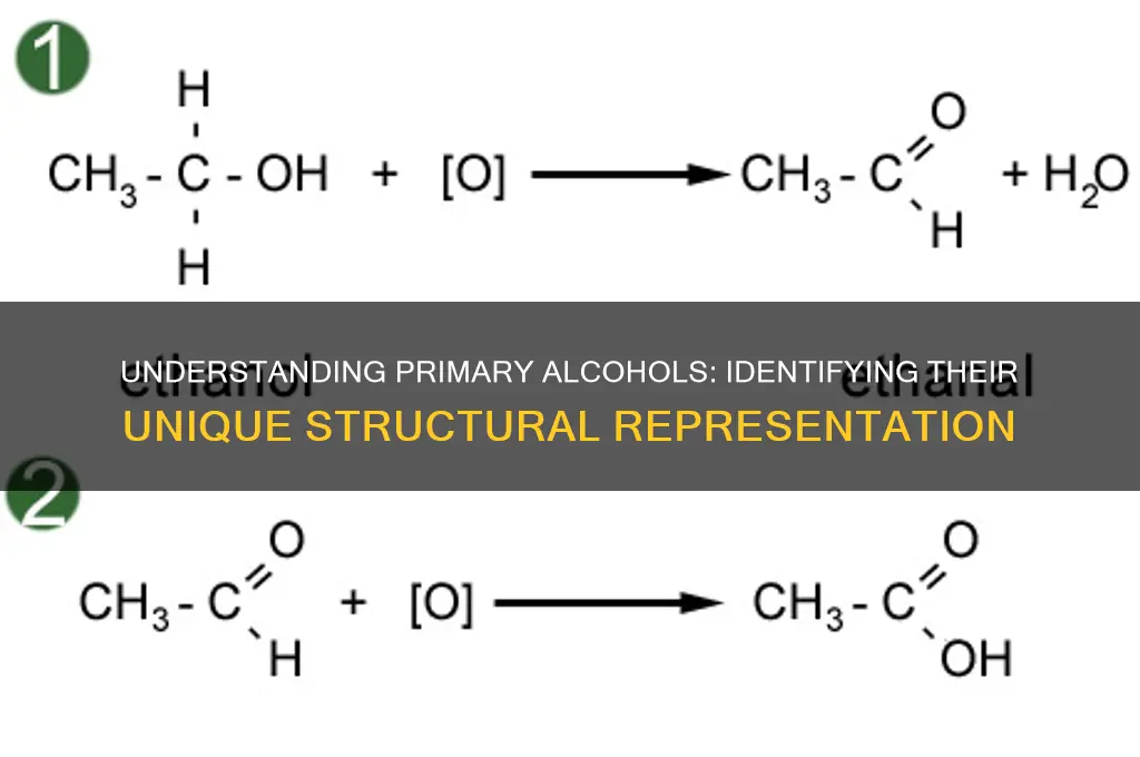 Understanding Primary Alcohols: Identifying Their Unique Structural ...
