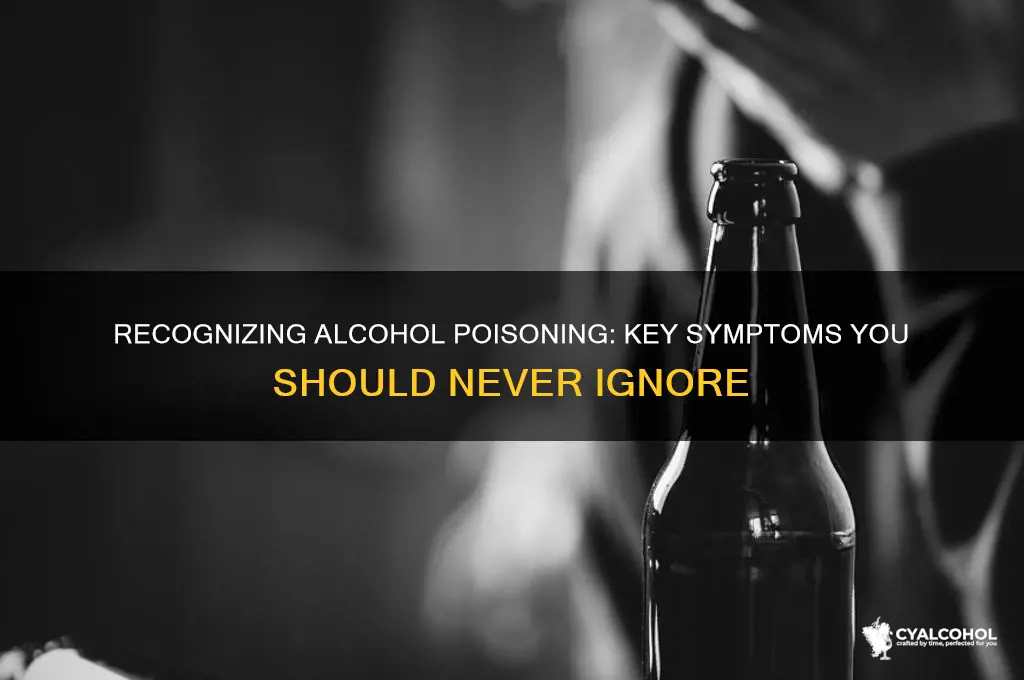 Recognizing Alcohol Poisoning: Key Symptoms You Should Never Ignore ...