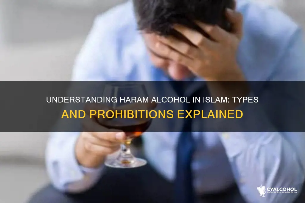 Understanding Haram Alcohol In Islam: Types And Prohibitions Explained ...