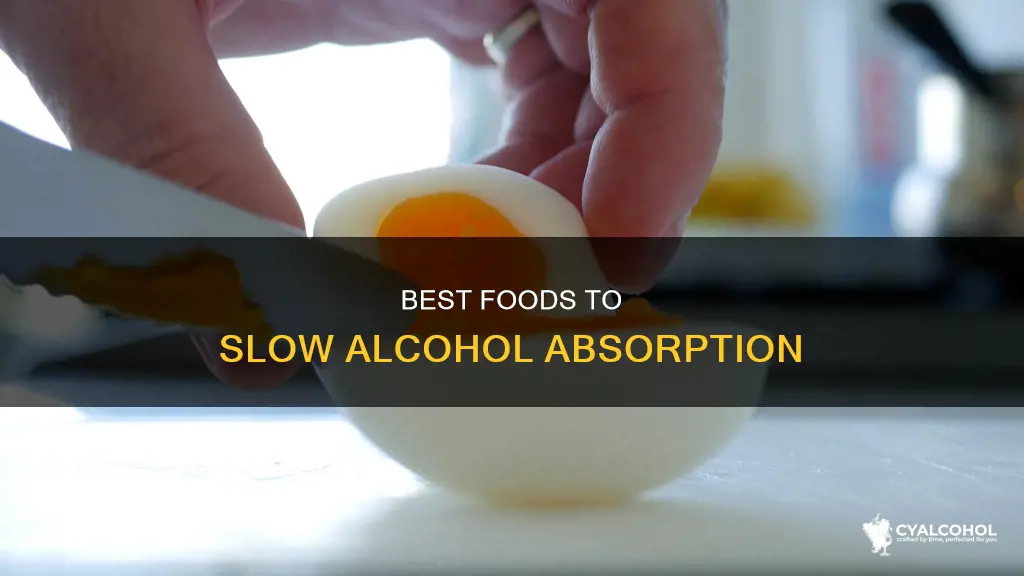 Best Foods To Slow Alcohol Absorption | CyAlcohol