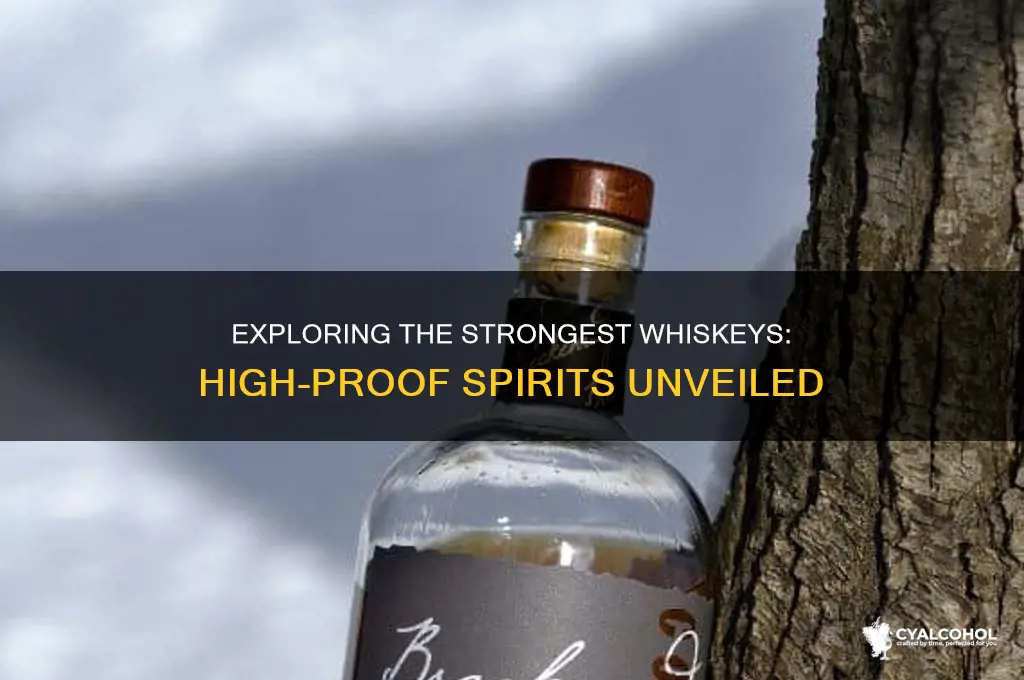Exploring The Strongest Whiskeys: High-Proof Spirits Unveiled | CyAlcohol