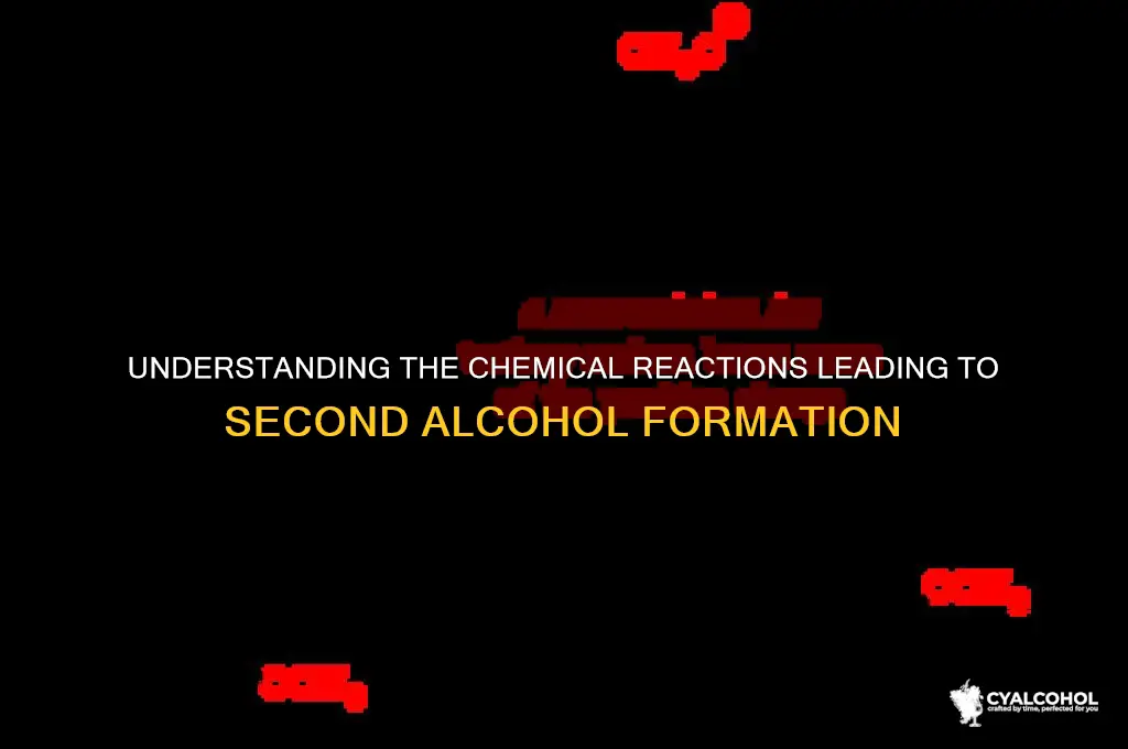 Understanding The Chemical Reactions Leading To Second Alcohol ...