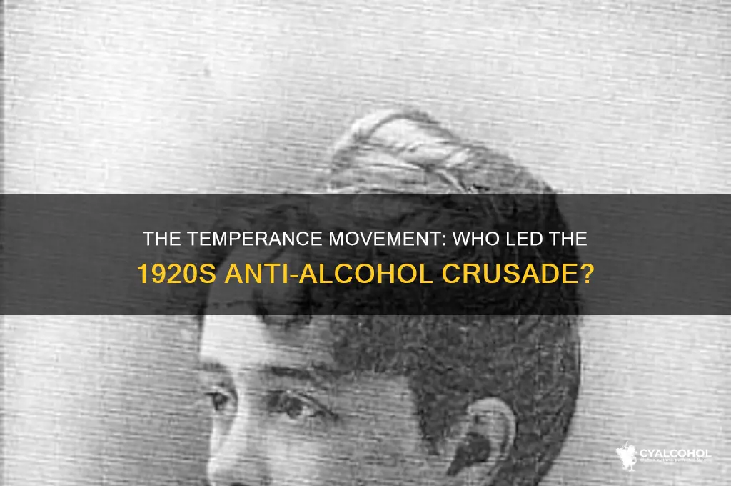 The Temperance Movement: Who Led The 1920S Anti-Alcohol Crusade ...