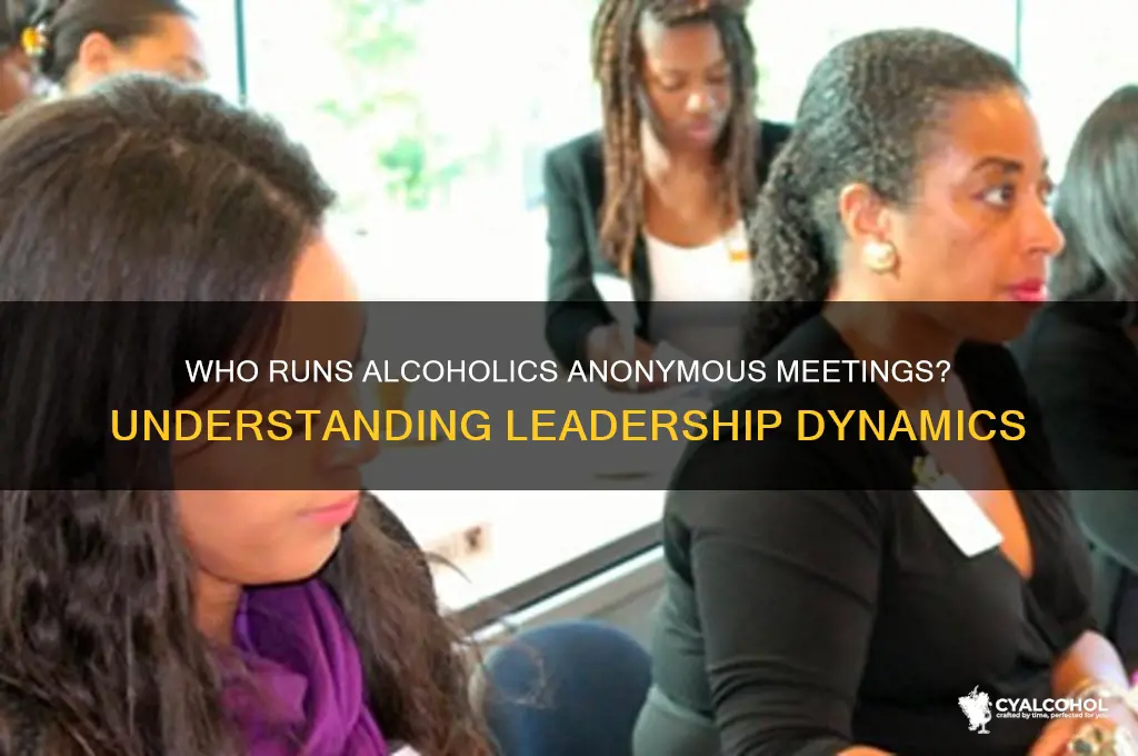 Who Runs Alcoholics Anonymous Meetings? Understanding Leadership ...