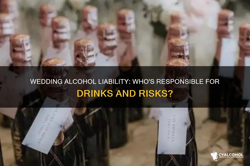 Wedding Alcohol Liability: Who's Responsible For Drinks And Risks ...