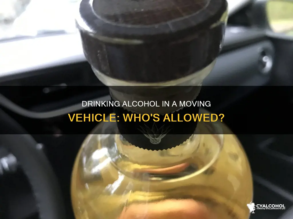 Drinking Alcohol In A Moving Vehicle: Who's Allowed? | CyAlcohol