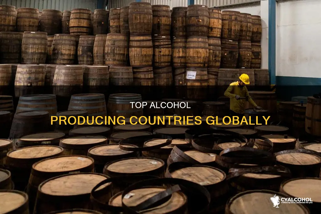 Top Alcohol Producing Countries Globally | CyAlcohol