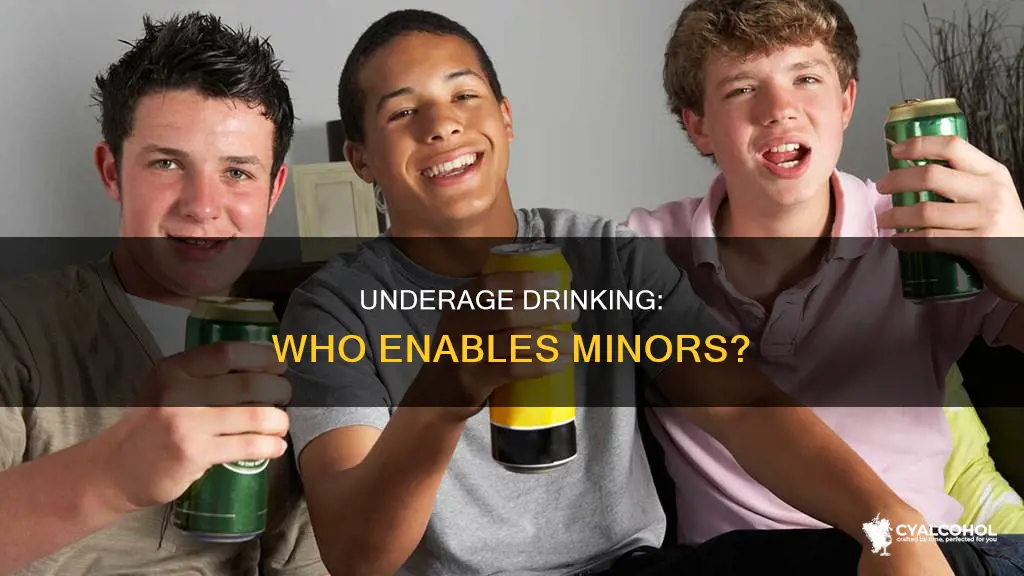 Underage Drinking: Who Enables Minors? | CyAlcohol