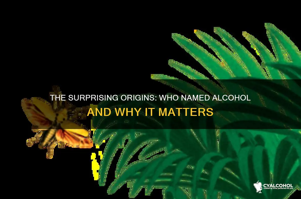 The Surprising Origins: Who Named Alcohol And Why It Matters | CyAlcohol