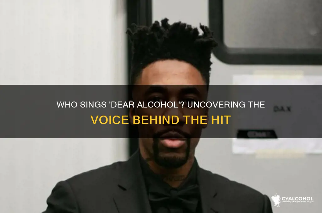 Who Sings 'Dear Alcohol'? Uncovering The Voice Behind The Hit | CyAlcohol
