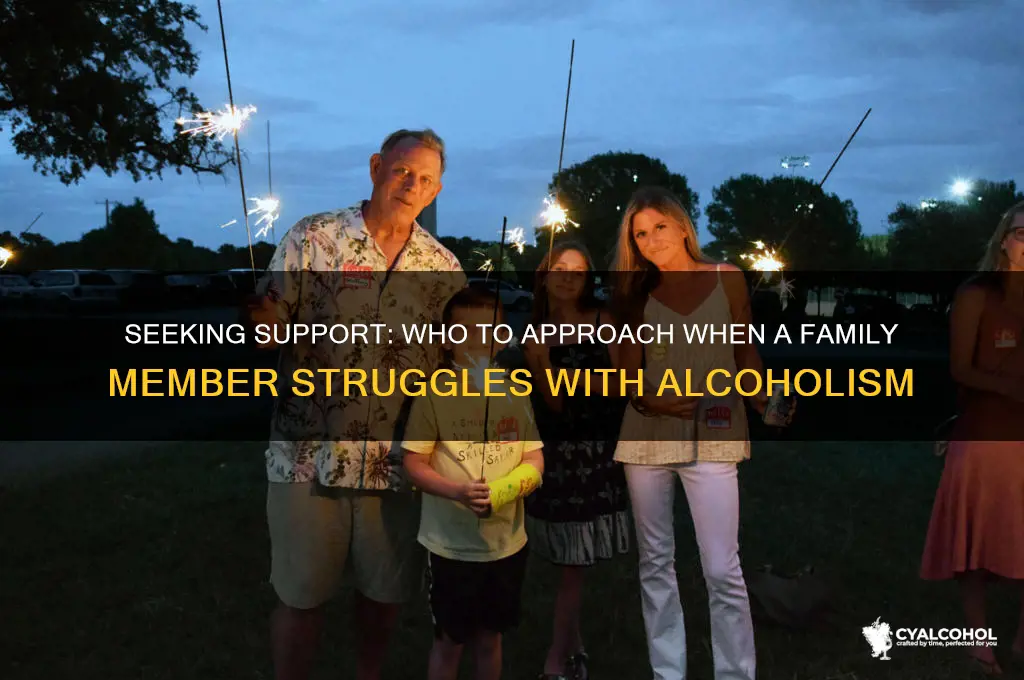 Seeking Support: Who To Approach When A Family Member Struggles With ...