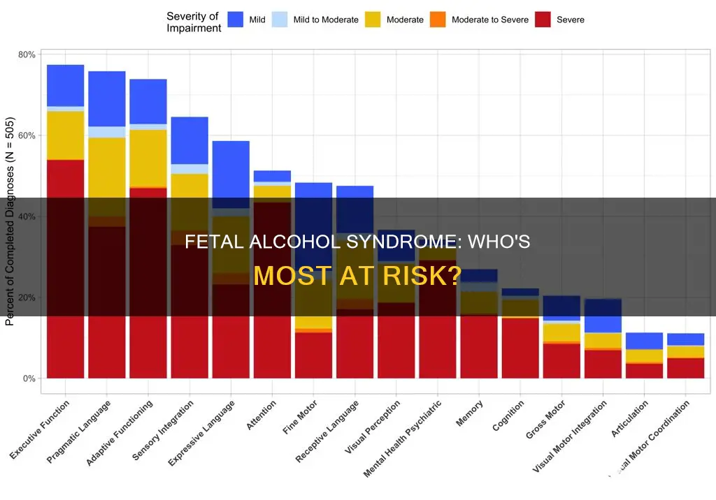 Fetal Alcohol Syndrome: Who's Most At Risk? | CyAlcohol