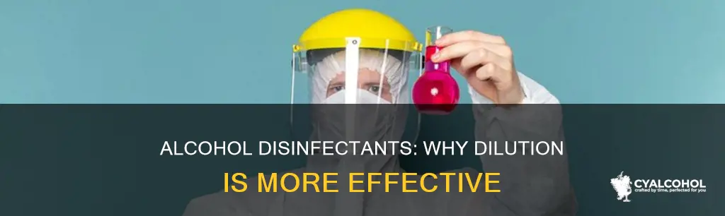 Alcohol Disinfectants: Why Dilution Is More Effective | CyAlcohol