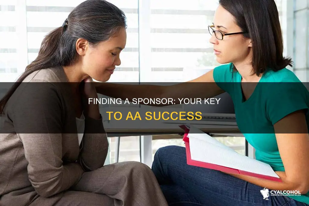Finding A Sponsor: Your Key To Aa Success | CyAlcohol