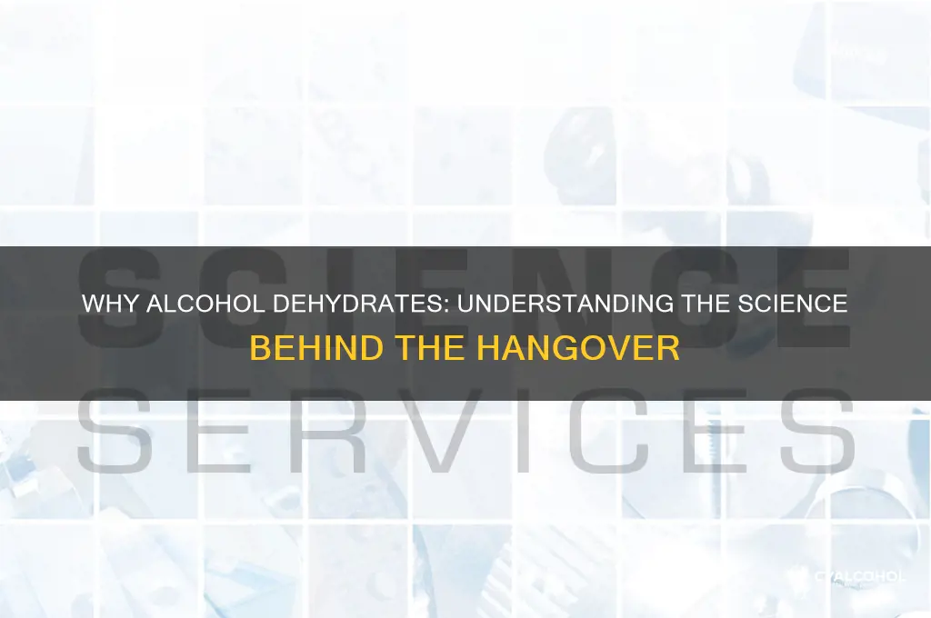 Why Alcohol Dehydrates: Understanding The Science Behind The Hangover ...