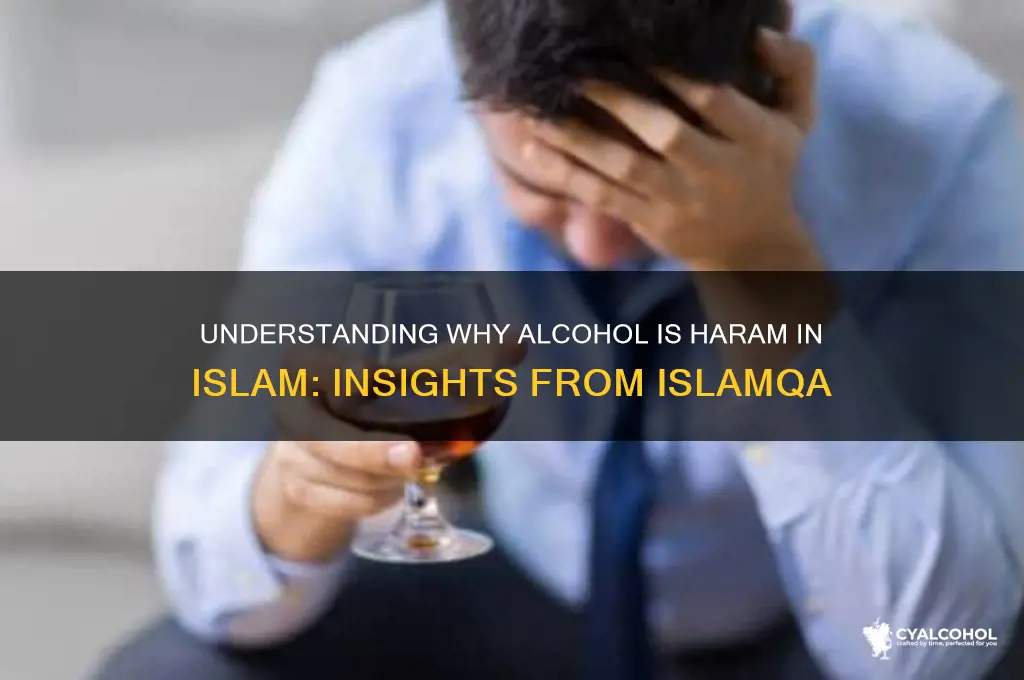 Understanding Why Alcohol Is Haram In Islam: Insights From Islamqa ...