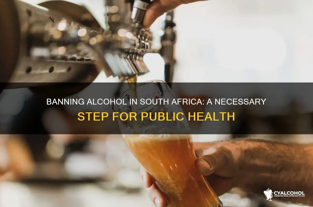 Banning Alcohol In South Africa: A Necessary Step For Public Health ...