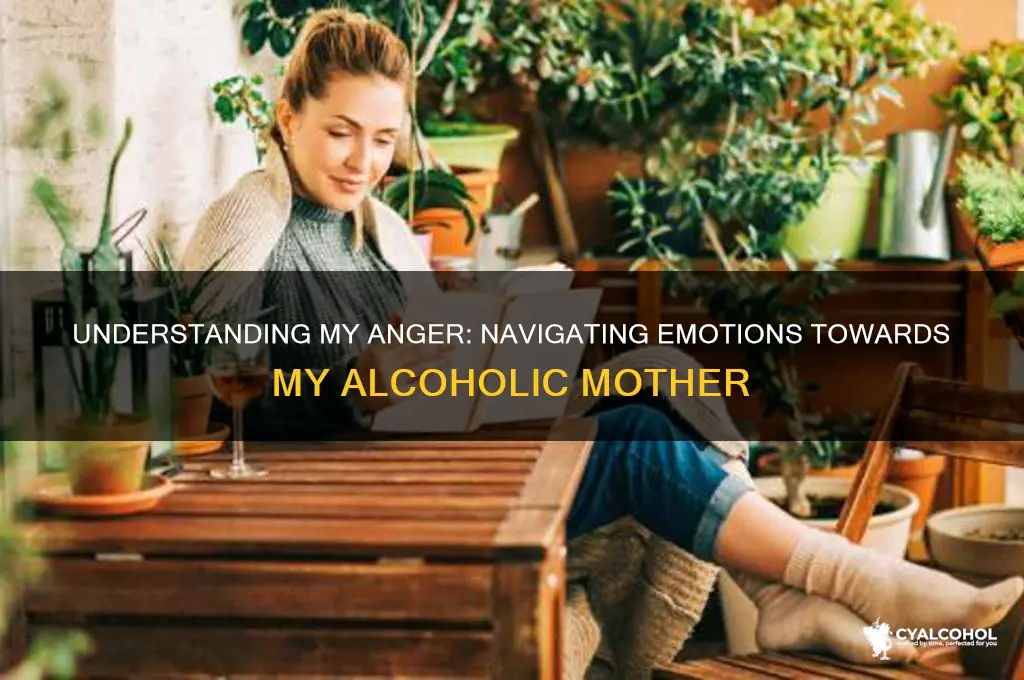 Understanding My Anger: Navigating Emotions Towards My Alcoholic Mother ...