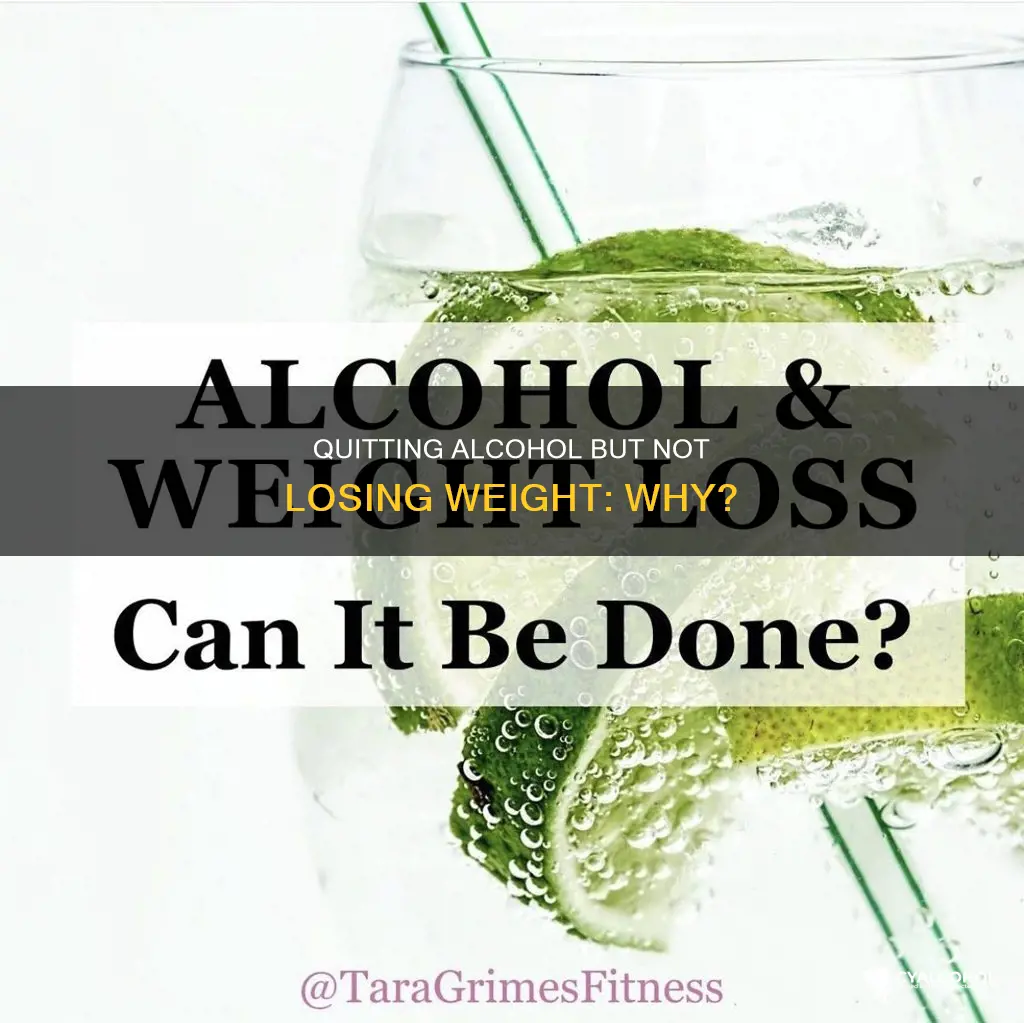 Quitting Alcohol But Not Losing Weight: Why? | CyAlcohol
