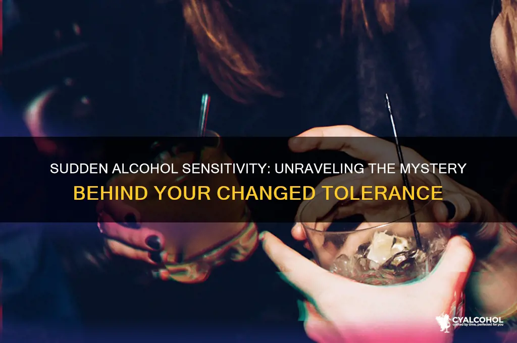 Sudden Alcohol Sensitivity: Unraveling The Mystery Behind Your Changed ...