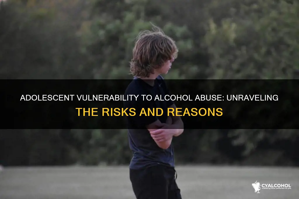 Adolescent Vulnerability To Alcohol Abuse: Unraveling The Risks And ...