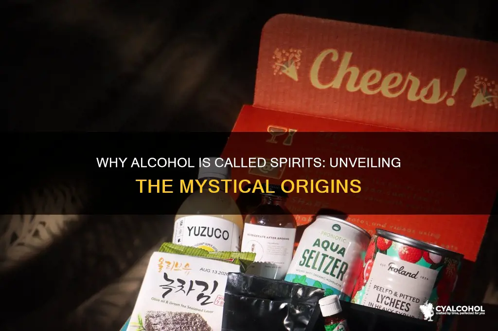 Why Alcohol Is Called Spirits: Unveiling The Mystical Origins | CyAlcohol