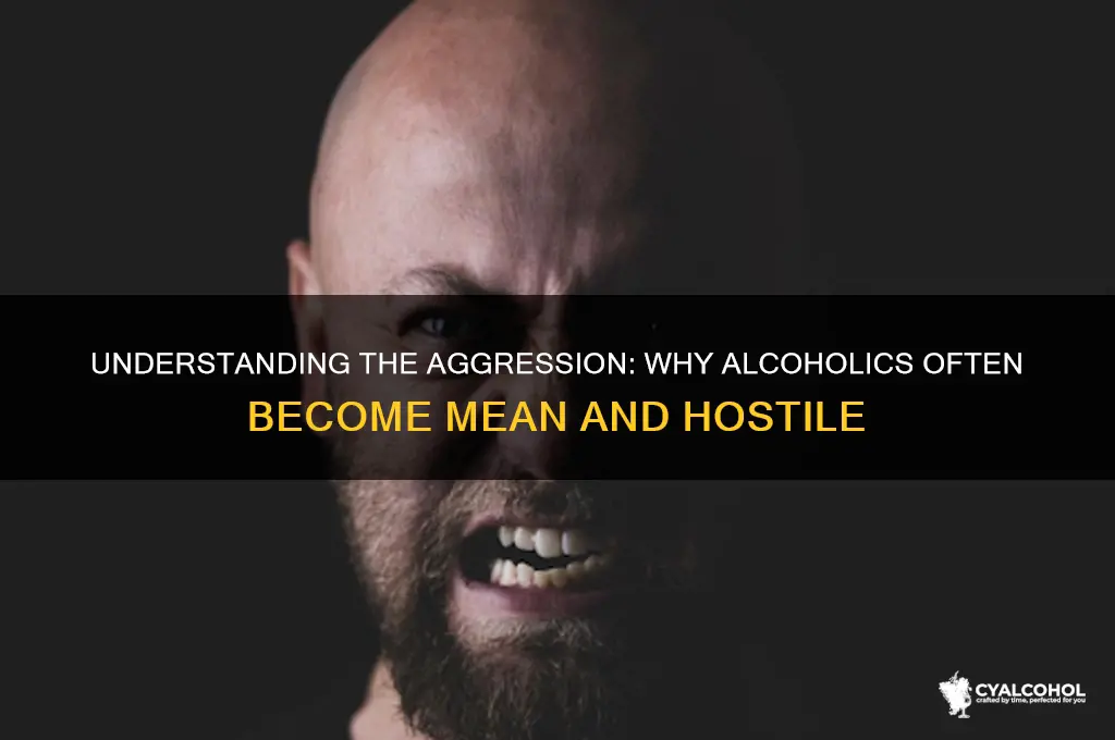 Understanding The Aggression: Why Alcoholics Often Become Mean And ...