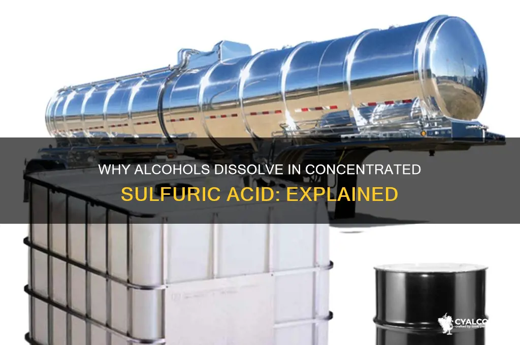 Why Alcohols Dissolve In Concentrated Sulfuric Acid: Explained | CyAlcohol
