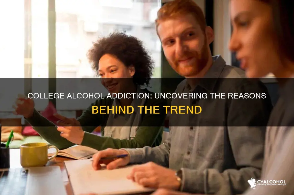 College Alcohol Addiction: Uncovering The Reasons Behind The Trend ...