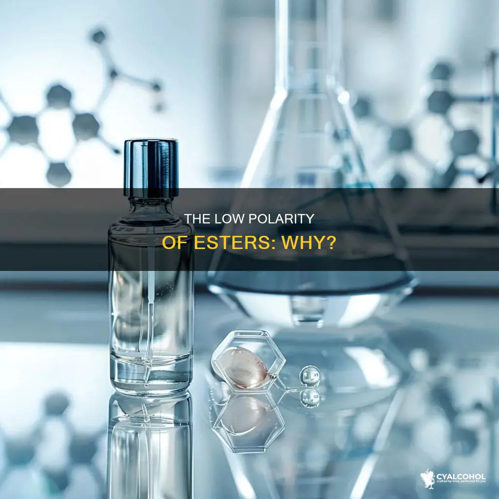 The Low Polarity Of Esters: Why? | CyAlcohol