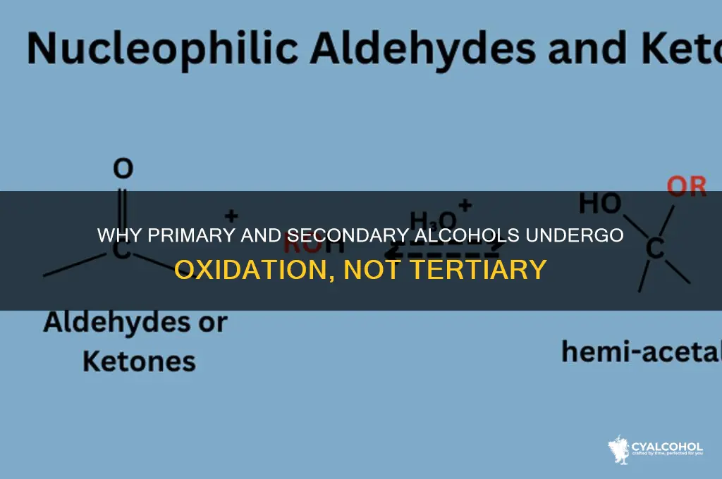 Why Primary And Secondary Alcohols Undergo Oxidation, Not Tertiary ...