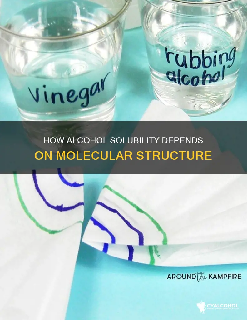 How Alcohol Solubility Depends On Molecular Structure | CyAlcohol