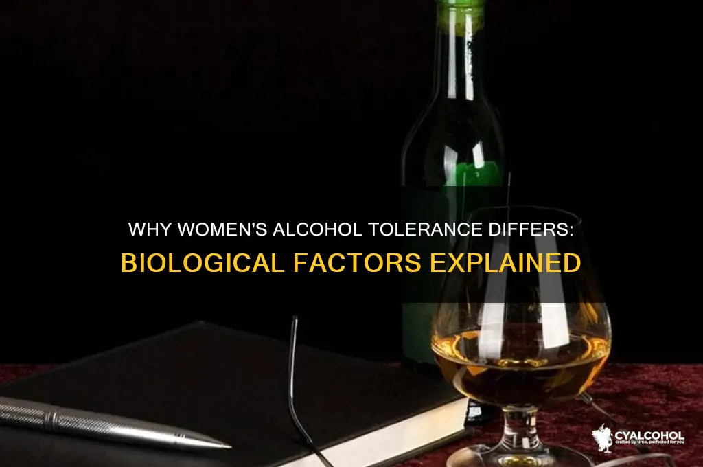 Why Women's Alcohol Tolerance Differs: Biological Factors Explained ...