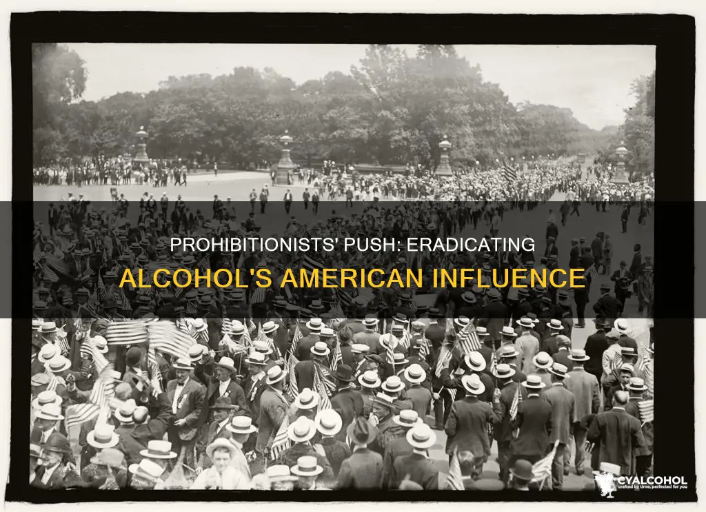 Prohibitionists' Push: Eradicating Alcohol's American Influence | CyAlcohol