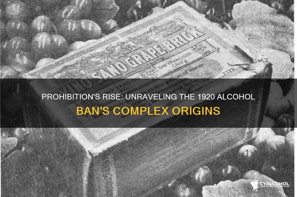 Prohibition's Rise: Unraveling The 1920 Alcohol Ban's Complex Origins ...