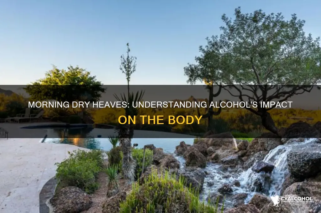 Morning Dry Heaves: Understanding Alcohol's Impact On The Body | CyAlcohol