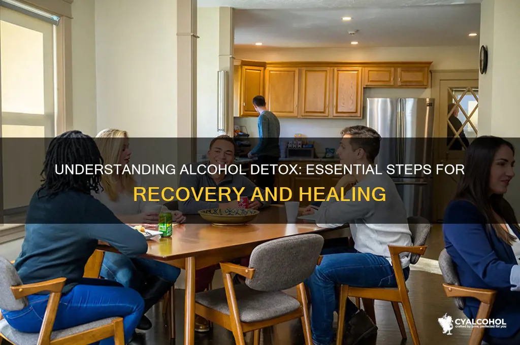 Understanding Alcohol Detox: Essential Steps For Recovery And Healing ...