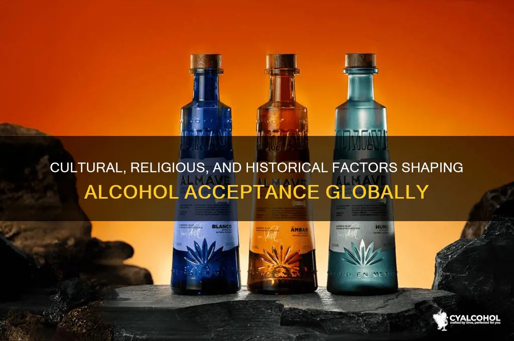 Cultural, Religious, And Historical Factors Shaping Alcohol Acceptance ...