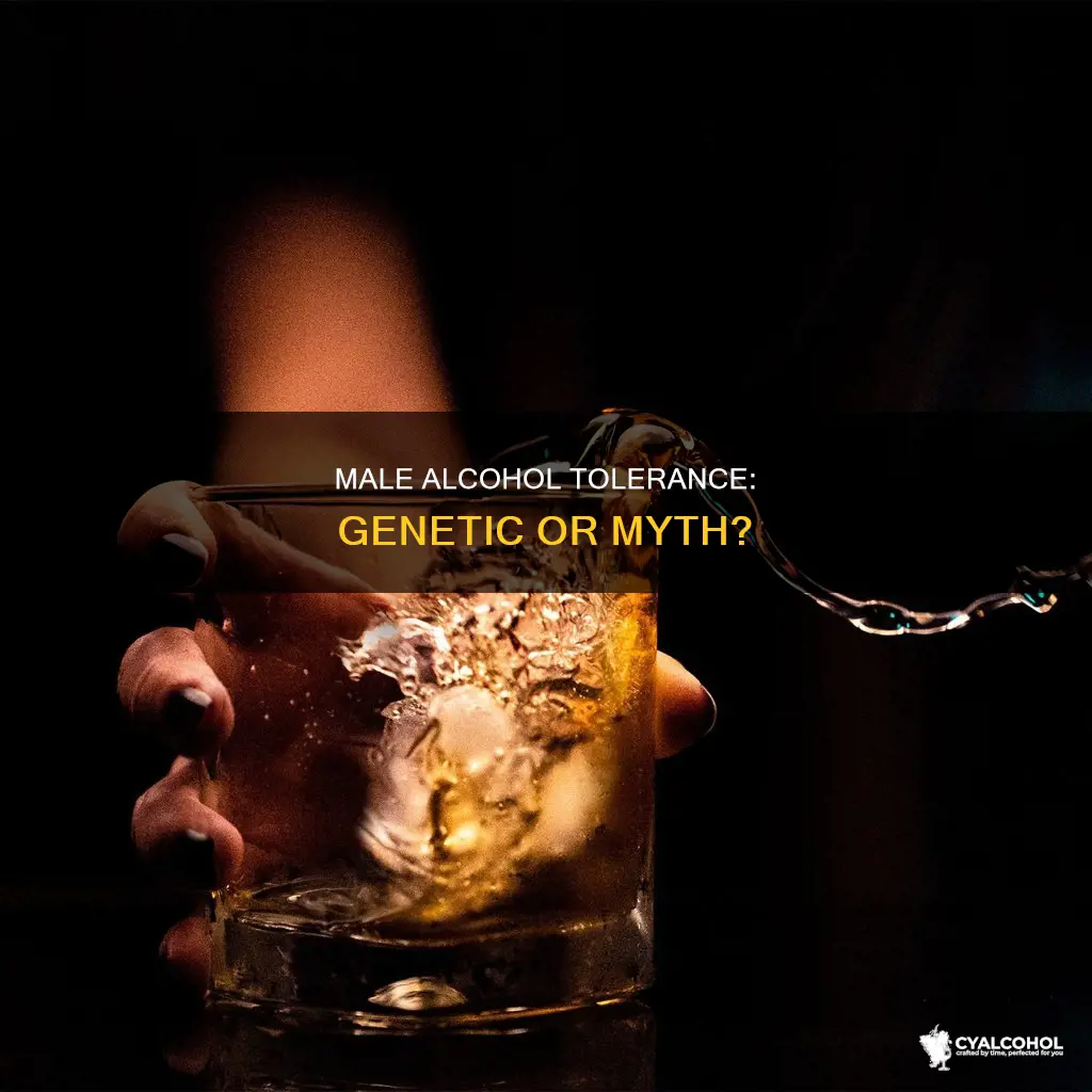 Male Alcohol Tolerance: Genetic Or Myth? | CyAlcohol
