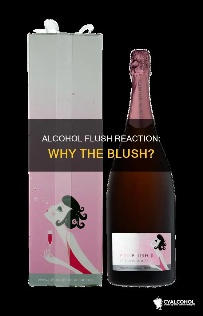 Alcohol Flush Reaction: Why The Blush? | CyAlcohol