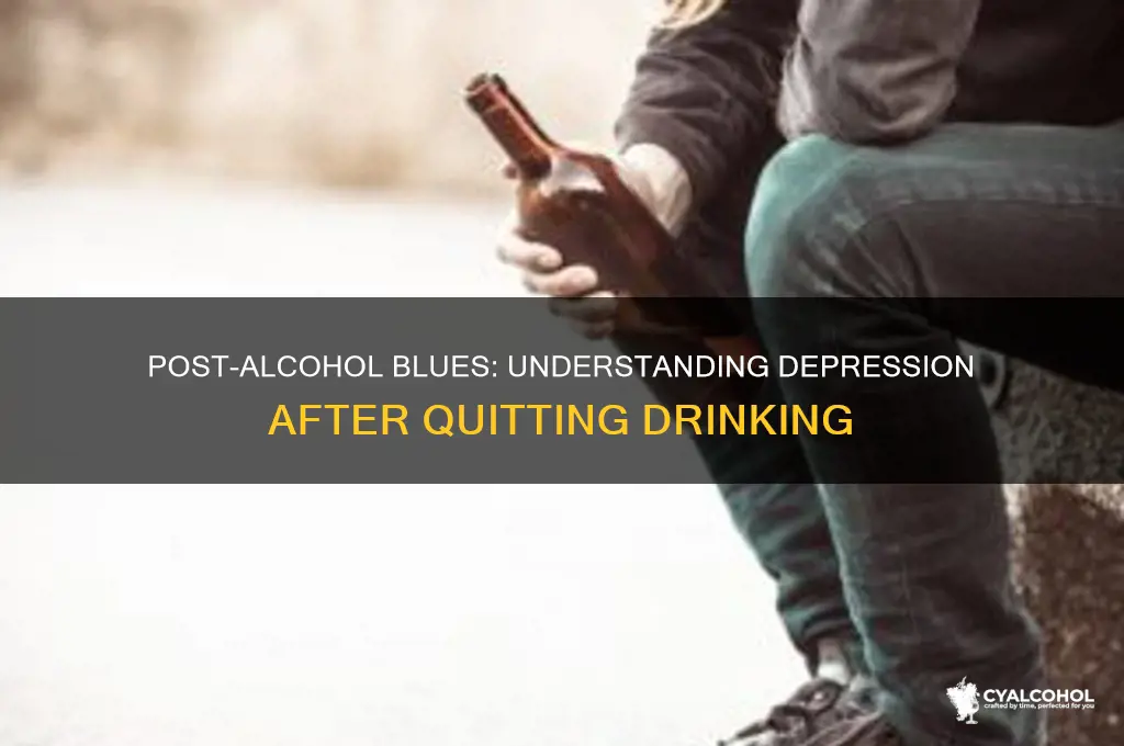 Post-Alcohol Blues: Understanding Depression After Quitting Drinking ...