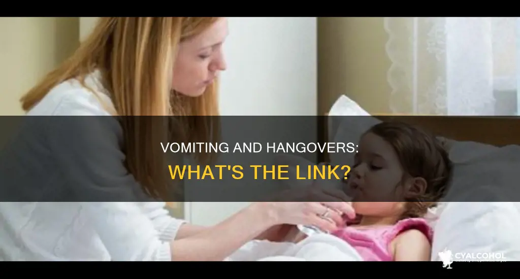 Vomiting And Hangovers: What's The Link? | CyAlcohol