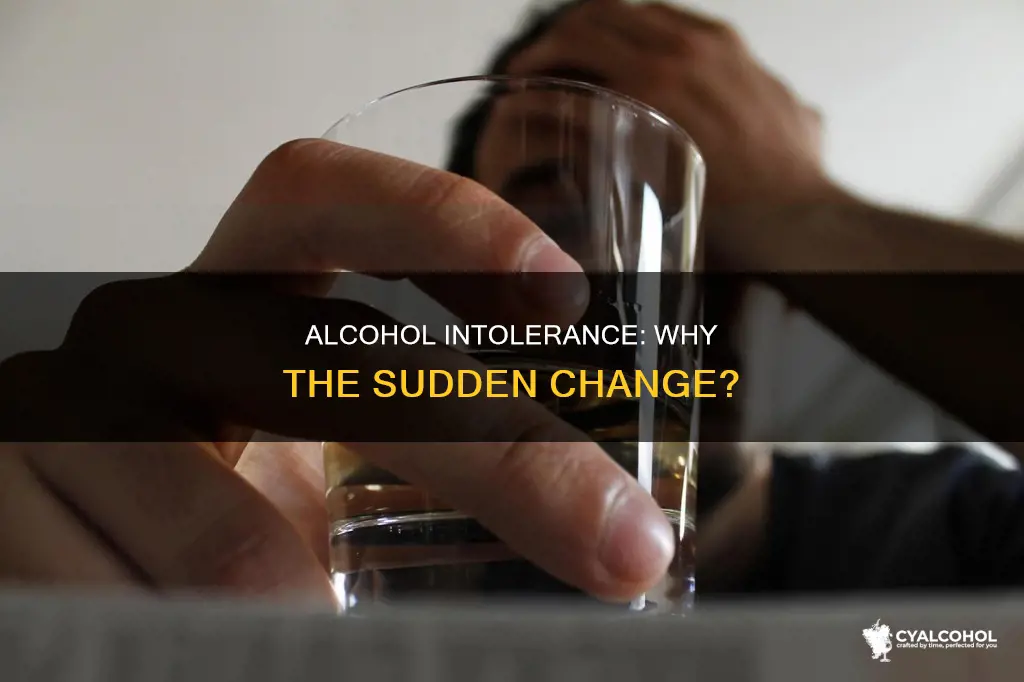Alcohol Intolerance: Why The Sudden Change? | CyAlcohol