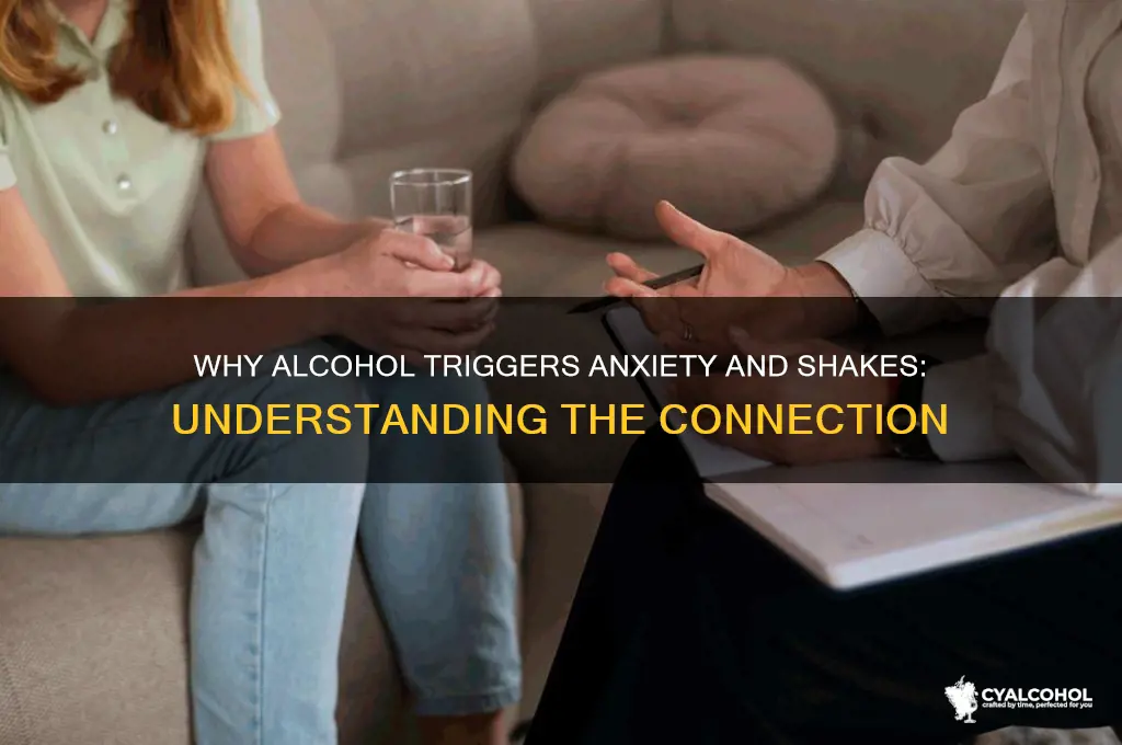 Why Alcohol Triggers Anxiety And Shakes: Understanding The Connection ...