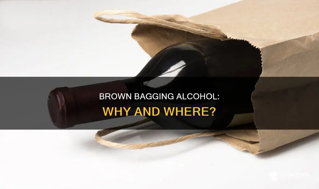 Brown Bagging Alcohol: Why And Where? | CyAlcohol