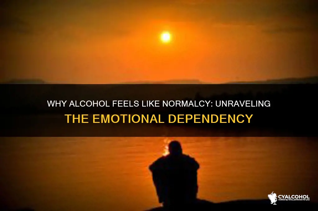 Why Alcohol Feels Like Normalcy: Unraveling The Emotional Dependency ...