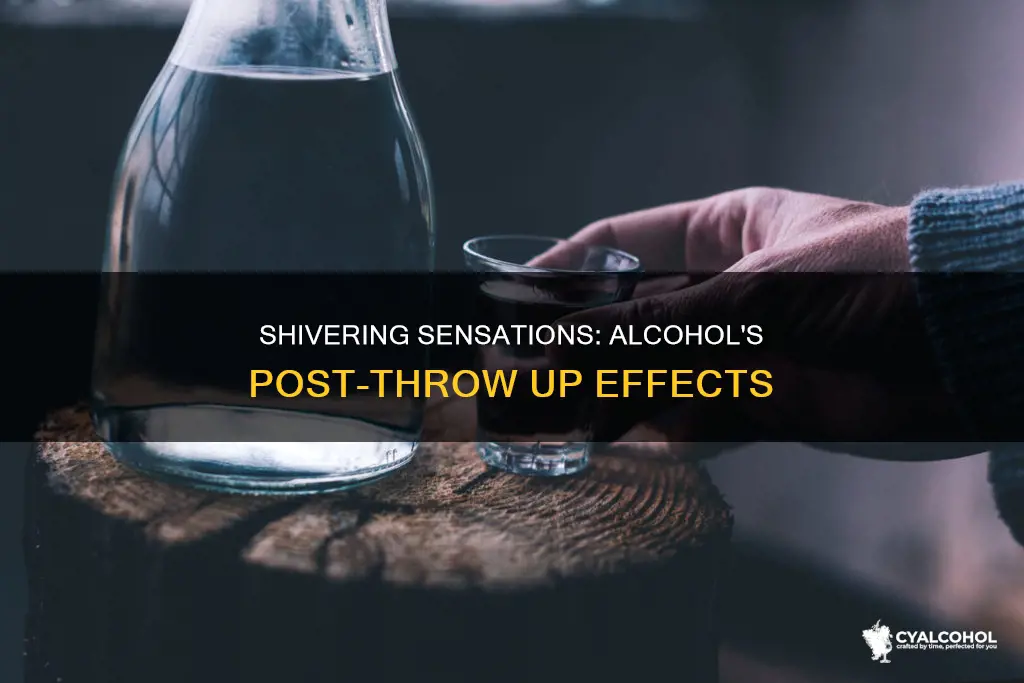 Shivering Sensations: Alcohol's Post-Throw Up Effects | CyAlcohol