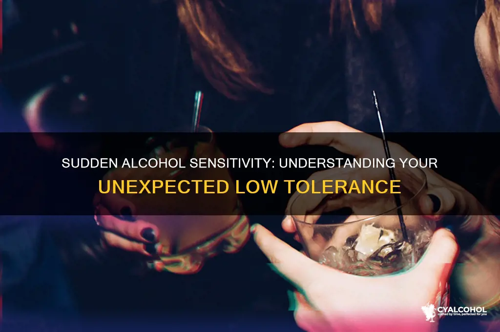 Sudden Alcohol Sensitivity: Understanding Your Unexpected Low Tolerance ...