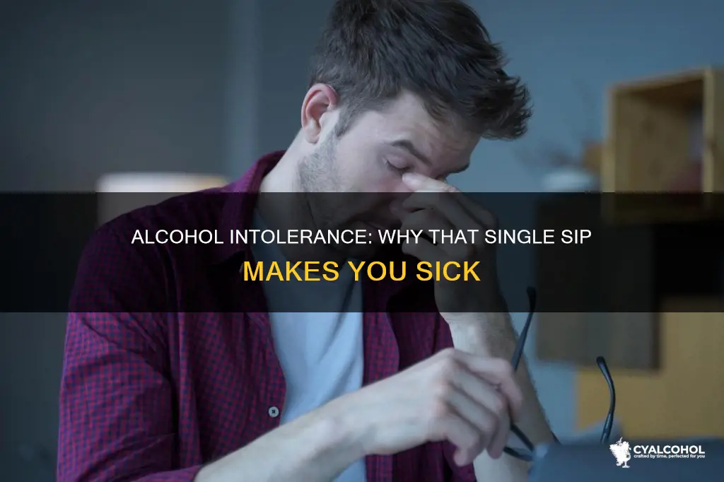 Alcohol Intolerance: Why That Single Sip Makes You Sick | CyAlcohol